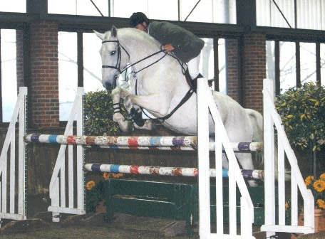 Sports Horse Breeding of Great Britain