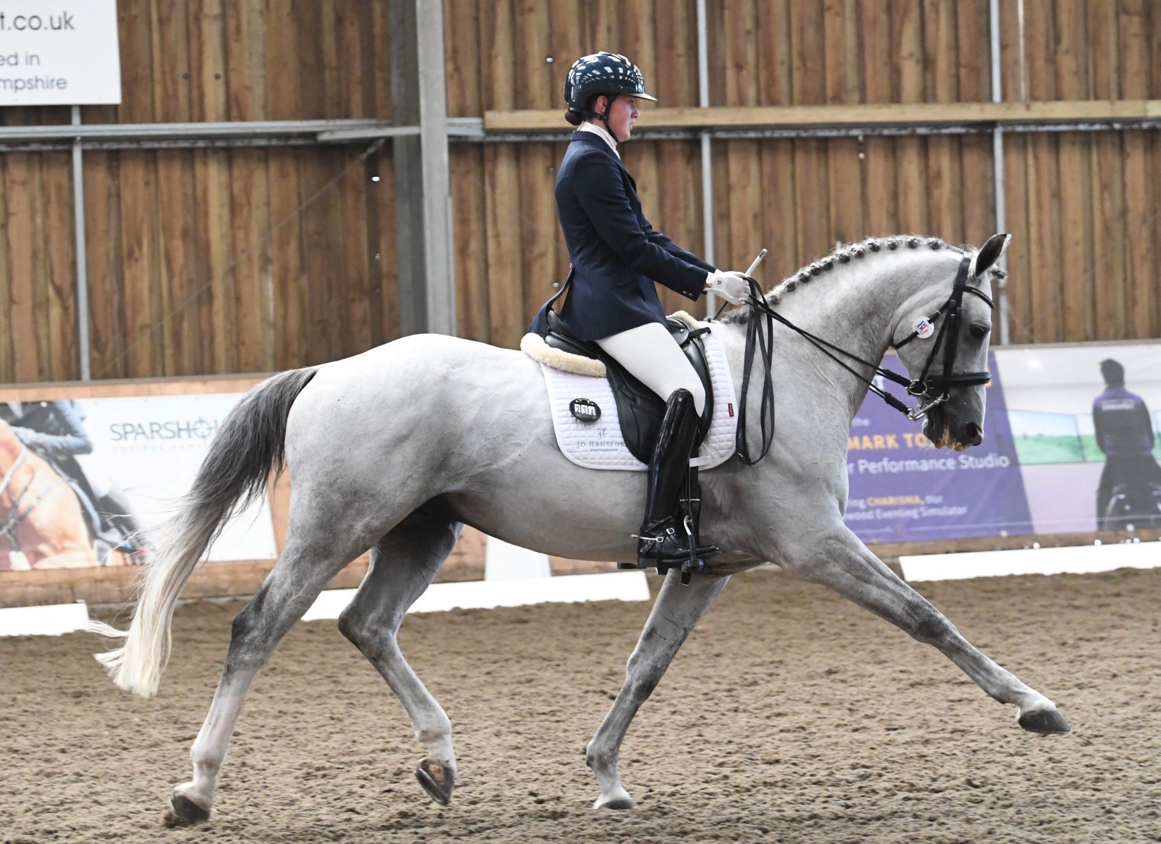 Sports Horse Breeding of Great Britain